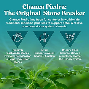 Chanca Piedra Stone Breaker – Natural Dissolver, Kidney Cleanse & Gallbladder Supplement – Detoxify Urinary Tract, Flush Impurities, Clear System – 60 Vegan Soft Capsules