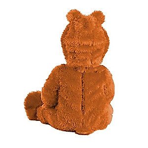 Care Bears Tenderheart Bear Infant Costume 0/3 Months