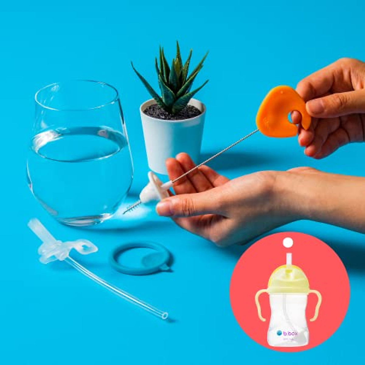 b.box Cleaning Brush Set of 5 Brushes for Sippy Cups, Water Bottles, Bottle Nipples and Straws. Brushes Clip in and Out All on One Handy Ring