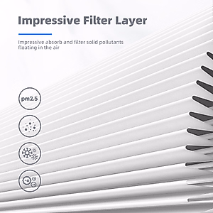 AROEVE Air Purifier with Three Filter(One Basic Version & Two Pet Dander Version)