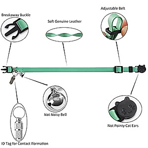 WROSWT Leather Cat Collar,2 Pack Breakaway Safety Buckle Collar with Name Tag and Airtag Case,Adjustable for Girl Boy Kitten (Blue + Green)