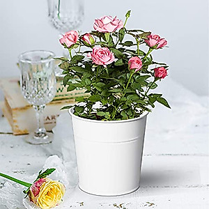 MorTime 10 Pack Metal Hanging Bucket Planter with Hook, 4 Inches Mini Round White Storage Basket for Plant Flower Pots Indoor Outdoor Home Garden Patio Lawn