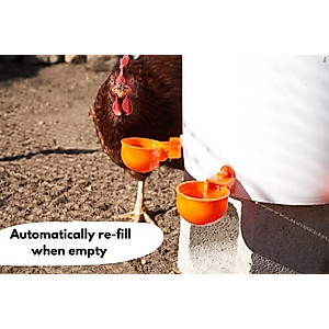 Roosty's® Chicken Waterer Cups x6 - Chicken Water Feeder Kit, Make Large Chicken Waterer 5 Gallon DIY Chicken Supplies, Chicken Water Cups, Duck Quail Waterer - Bebederos Para Gallinas,Poultry Waterer