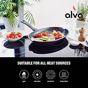 ALVA Energy Non Stick Fish Pan 13.4" Skillet, Oval Shaped Non Stick Frying Pan with Pour Spouts, Cast Aluminium Nonstick Fry Pan for Stove Top, Induction Compatible Cookware