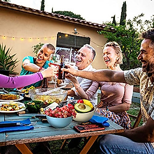 24 Pcs Unbreakable Cereal Bowls 24oz Reusable Bowls for Kitchen Wheat Straw Fiber Soup Bowls Lightweight Plastic Bowls, Microwave and Dishwasher Safe, for Ramen Salad (Pink, Mint Green, Blue, Beige)