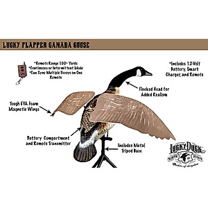 Lucky Duck Lucky Flapper Canada Goose