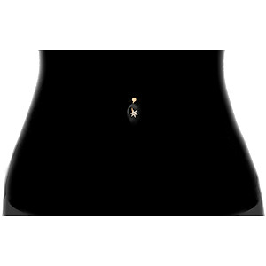 Ritastephens 14k Yellow Gold Belly Button Cubic Zirconia 6 Petals Flower Navel Ring