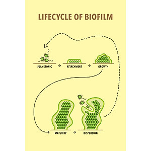 H2OK Water Cooler Cleaner