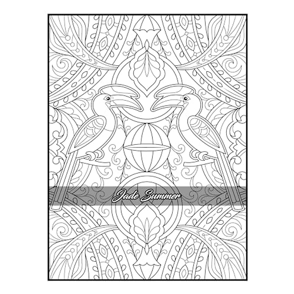 100 Amazing Patterns: An Adult Coloring Book with Fun, Easy, and Relaxing Coloring Pages