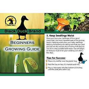 Set of 40 Assorted Vegetable Packets with Beginners Growing Guide & Mylar Storage Bag | Non-GMO | Heirloom