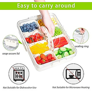 2 Pack Veggie Tray with Lid and Handle, Divided Fruit Tray, Portable Snackle Box, Fridge Organizer for Snack, Candy, Nuts, Cookies, Fruit, Clear Vegetable Tray for Party, Picnic, Travel, Wedding.