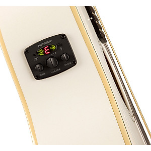 Fender Malibu Player Acoustic Guitar, with 2-Year Warranty, Arctic Gold, Walnut Fingerboard