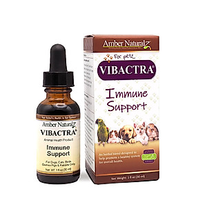 Amber NaturalZ Vibactra Immune Support Herbal Supplement for Dogs, Cats, Birds, Guinea Pigs, and Rabbits | Pet Herbal Blend for Overall Health | 1 Fluid Ounce Glass Bottle | Manufactured in The USA