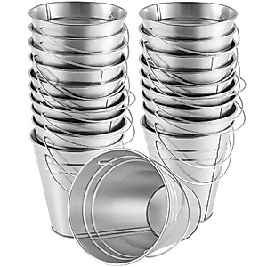ZEONHAK 20 Pack 4.5 x 5 Inches Galvanized Metal Buckets with Handle, Multifunctional Metal Pails, Small Metal Bucket for Party, Plants, Wedding and Home Decorations, Vase, Candy, Silver