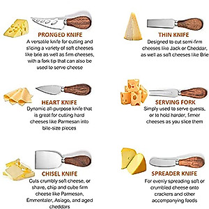 JLIAN MIOR Exquisite 6-Piece Cheese Knives Set, Stainless Steel Cheese Knife Set Collection (Acacia Wood Handle)