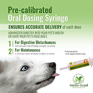 Intesto Guard Probiotics Paste 60ML/60cc Tube for Dogs & Cats Helps with Dog Diarrhea, Immune Supplements, with IgY antibodies & Made in USA