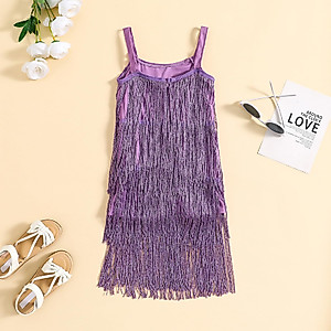 Kids Sequin Fringe Dress Sparkling Tassel Sleeveless Dress Little Girls Dance Wear Party Latin Dance Dress 1-6T (Purple, 5-6 Years)