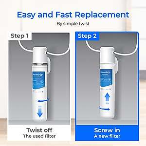Waterdrop GXULQR Under Sink Replacement Filter, Replacement for Hexagonal Head GE SmartWater GXULQR, GXULQK and GXK140TNN, 2K Gallons (Pack of 2)