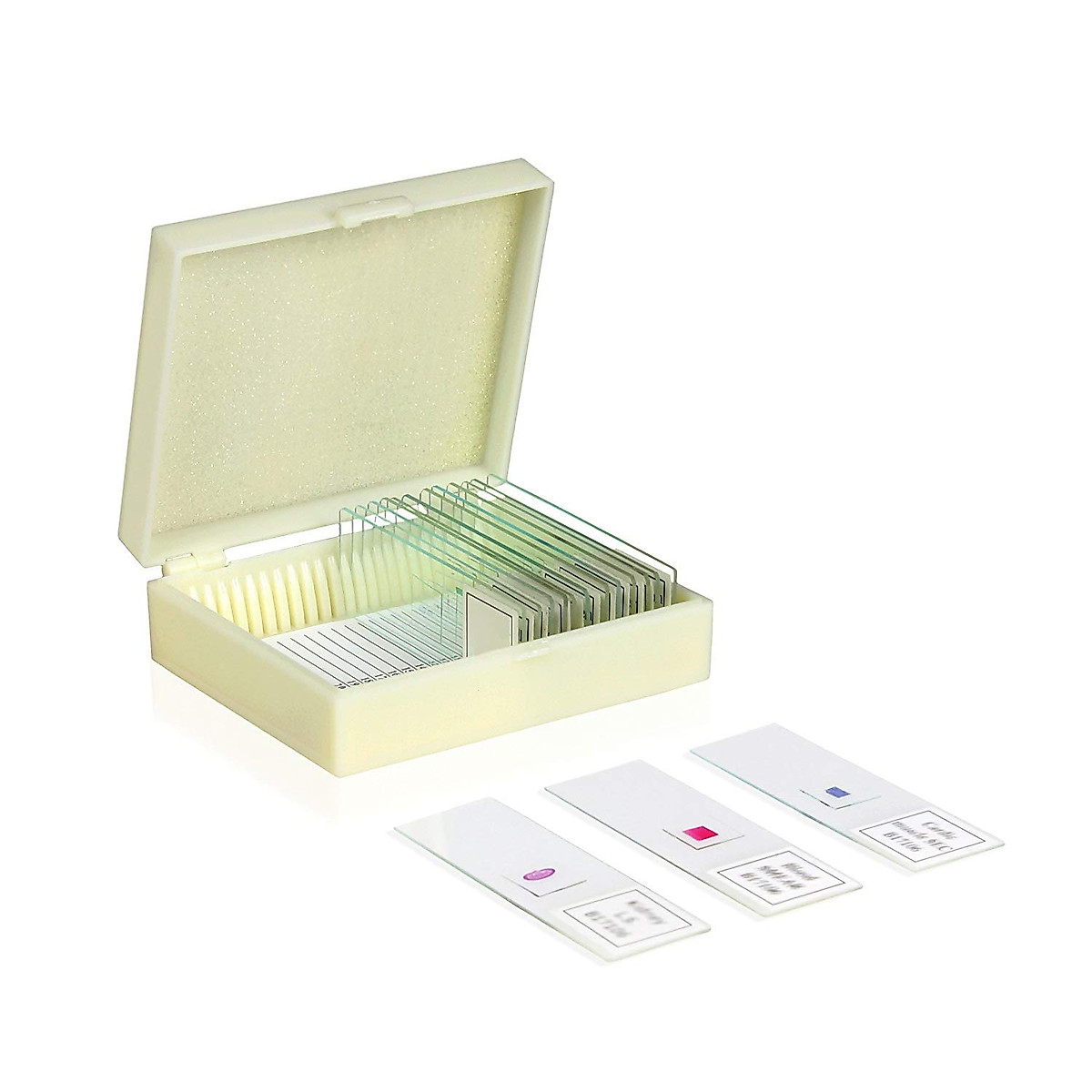 Vision Scientific VSB126 Prepared Slide Set – Textile Fibre (Set of 12)