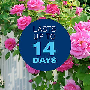 BioAdvanced All-in-One Rose & Flower Plant Care, Ready-to-Spray, 32FOZ