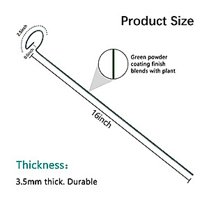 Thealyn 12 Pack 16 Inch Plant Support Stakes, Metal Single stemmed Flower Support Hoops，Garden Plant Stakes Plant Prop for Amaryllis Orchid Lily Rose Peony Tomatoes Gladiolus