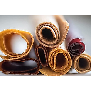 200 Dehydrator Parchment Sheets Compatible With Excalibur Dehydrator 9 & 5 Tray Paper Liner Disposable Dehydrating Chips Fruit Herbs Jerky