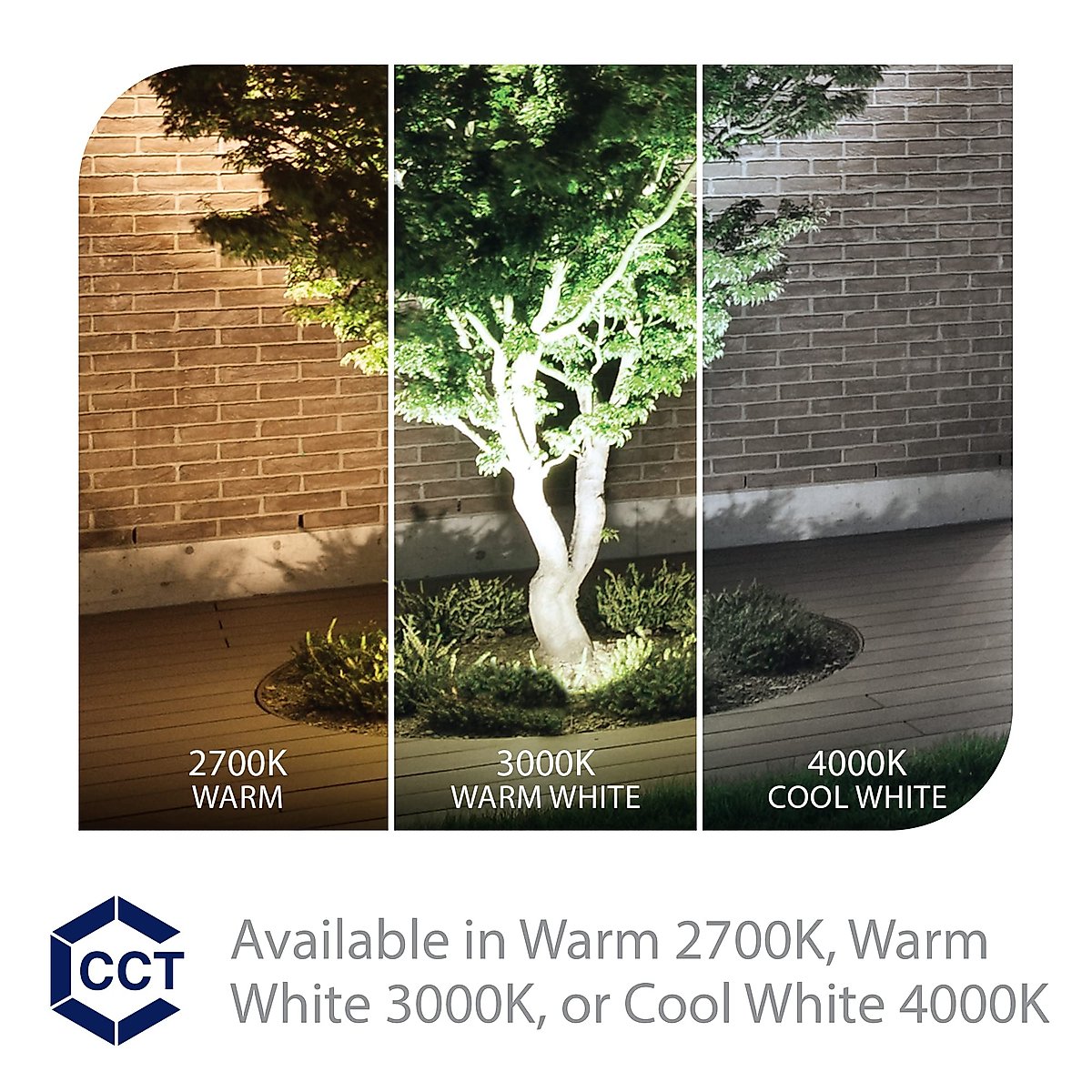 WAC Landscape Lighting, LED 12V Medium Size Accent Light with Adjustable Beam Angle and Integral Brightness Control 50-1300 Lumens 3000K Warm White Built-in LED in Black