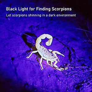 GLOSSDAY Blacklight Flashlight 68 LED UV Flashlight,Ultraviolet Flashlight Black Light Professional Pet Urine Detector for Dog/Cat Urine,Pet Stains,Hunting Scorpions