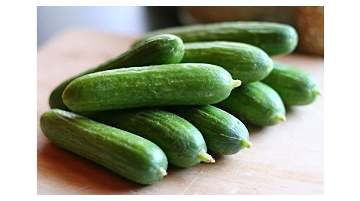Persian Cucumber Seeds: High Yield, Sweet & Crispy Garden Ready