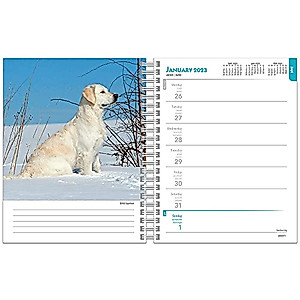 Golden Retrievers | 2023 6 x 7.75 Inch Spiral-Bound Wire-O Weekly Engagement Planner Calendar | New Full-Color Image Every Week | BrownTrout | Animals Dog Breeds Pets