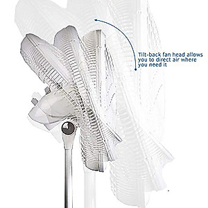 Lasko 2520 Oscillating Stand Fan,White 16 Inch