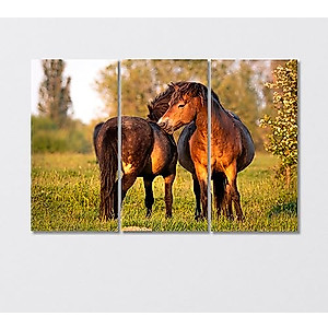 Pair of Exmoor Ponies Canvas Print 1 Panel / 36x24 inches