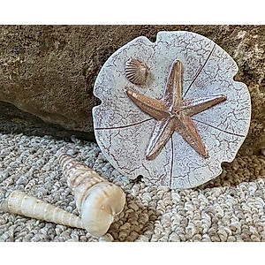 RuShi Nautical Bathroom Accessory Set, 5 pcs; 1 Lighthouse Hand Soap Holder; 1 Beach Tent Toothbrush Container; 2 Beach Chairs Glass Holders and 1 Starfish Themed soap Dish