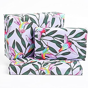 Central 23-6 Wrapping Paper Sheets - Purple Hummingbirds - Rainbow - Green - Trendy Wrapping Paper for Girls Women - Recyclable