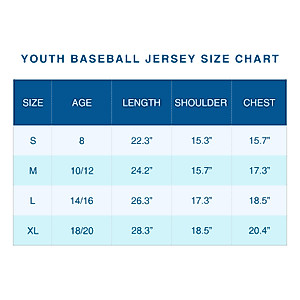 Youth Sandlot Jersey,Benny The Jet Rodriguez Alan Yeah-Yeah McClennan Michael Squints Christmas Jersey for Girl Boys' (Large,Youth 30 Blue)