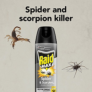 Raid Spider and Scorpion Killer, Kills Spiders, Scorpions, roaches, Ants, Waterbugs, earwigs, 12 Oz (Pack of 2)