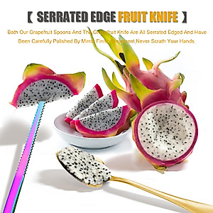 Grapefruit Spoons Serrated Edge Grapefruit Knife Stainless Steel Grapefruit Utensil Tool Dessert Spoons for Citrus Lemon Kiwi Salads Melon Lime Pitaya Apple Fruit Puree (Gold)