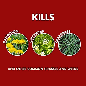 Spectracide Weed & Grass Killer Concentrate, Use On Driveways, Walkways and Around Trees & Flower Beds, 64 fl Ounce