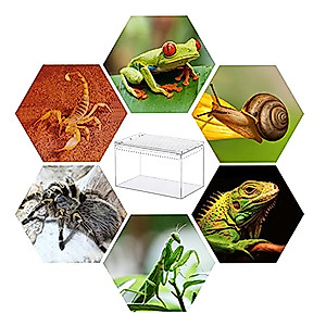 NANEEZOO Magnetic Acrylic Enclosure, 10x6x6 Inch Tall Long Case Reptile Habitat Terrarium cage for Terrestrial Arboreal Tarantula Scorpion Sling Isopods Lizards Invertebrates Insect Mantis