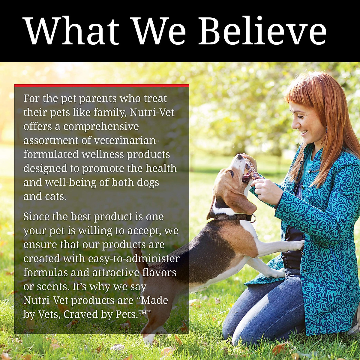 Nutri-Vet Ear Cleansing Pads for Dogs - Soothing & Non-Irritating - Removes Dirt & Wax Build Up - Maintain Dog Ear Health - 90 Count