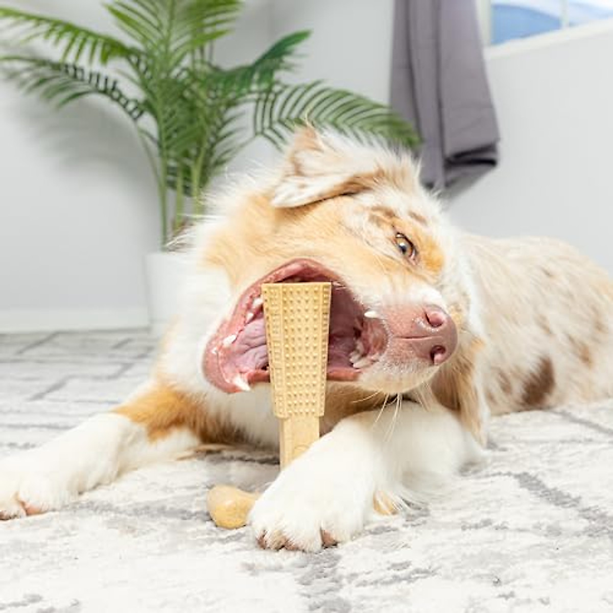 SPOT Bam-Bones Plus T Bone - Bamboo Fiber & Nylon, Durable Long Lasting Dog Chew for Aggressive Chewers – Great Toy for Adult Dogs & Teething Puppies Under 90lbs, Non-Splintering, 7in Chicken Flavor