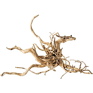 Galapagos (05319) Spider Wood, Natural, 12 - 24"