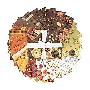 Riley Blake Fall’s in Town Fabric by Sandy Gervais, Premium Quilting Fabric, Perfect for Quilting, Crafting, Sewing Projects and More… (Fall’S in Town Fat Quarter)