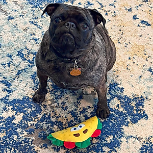 SPOT Fun Food Taco Plush Dog Toy with Squeaker - Interactive Soft, Squeaky Toy for Dogs and Puppies, Keeps Pets Entertained, Cute and Funny Chew Toy Made with Soft Fabric - 6in