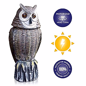 Lijo Solar Owl Animal Scarecrow – Rotating Head Owl Decoy - New & Improved Technology Waterproof 180° Rotation Light Up Eyes & Sounds Realistic Look Highly Sensitive Motion Sensor Detects Intruders