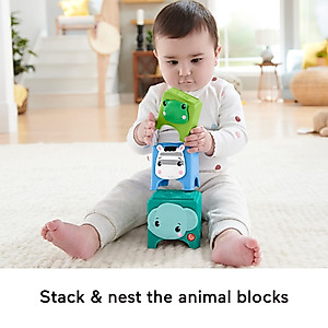 Fisher-Price Hello Hands Play Kit, Curated Gift Set of Activity Toys for Infants Ages 6 Months and Up