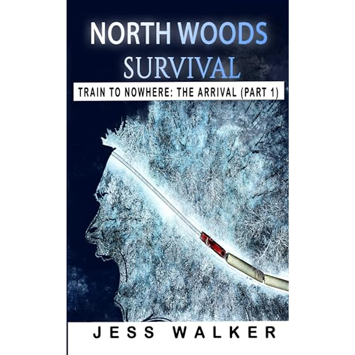 North Woods Survival: Train to Nowhere: A Wilderness Adventure Thriller (Train to Nowhere: North Woods Survival Series)