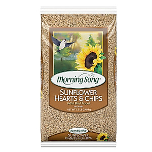 Morning Song Sunflower Wild Bird Food Bundle (5.5 lbs) | Wagner's Safflower Seed (5 lbs)