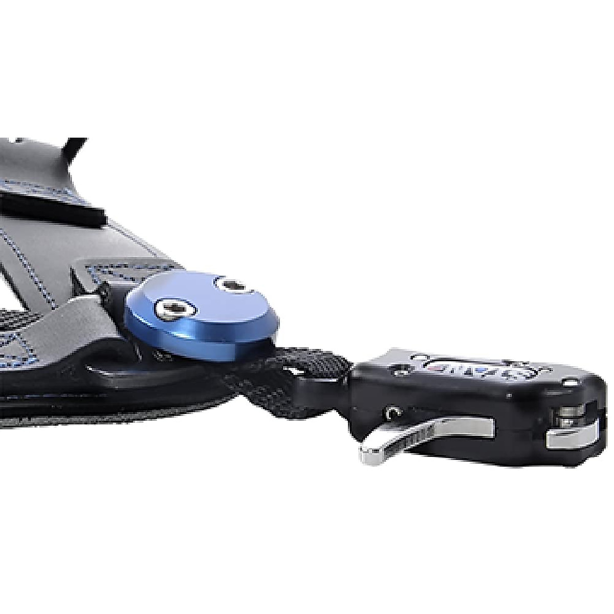 Stan Xtinction 2 Release Web Connect