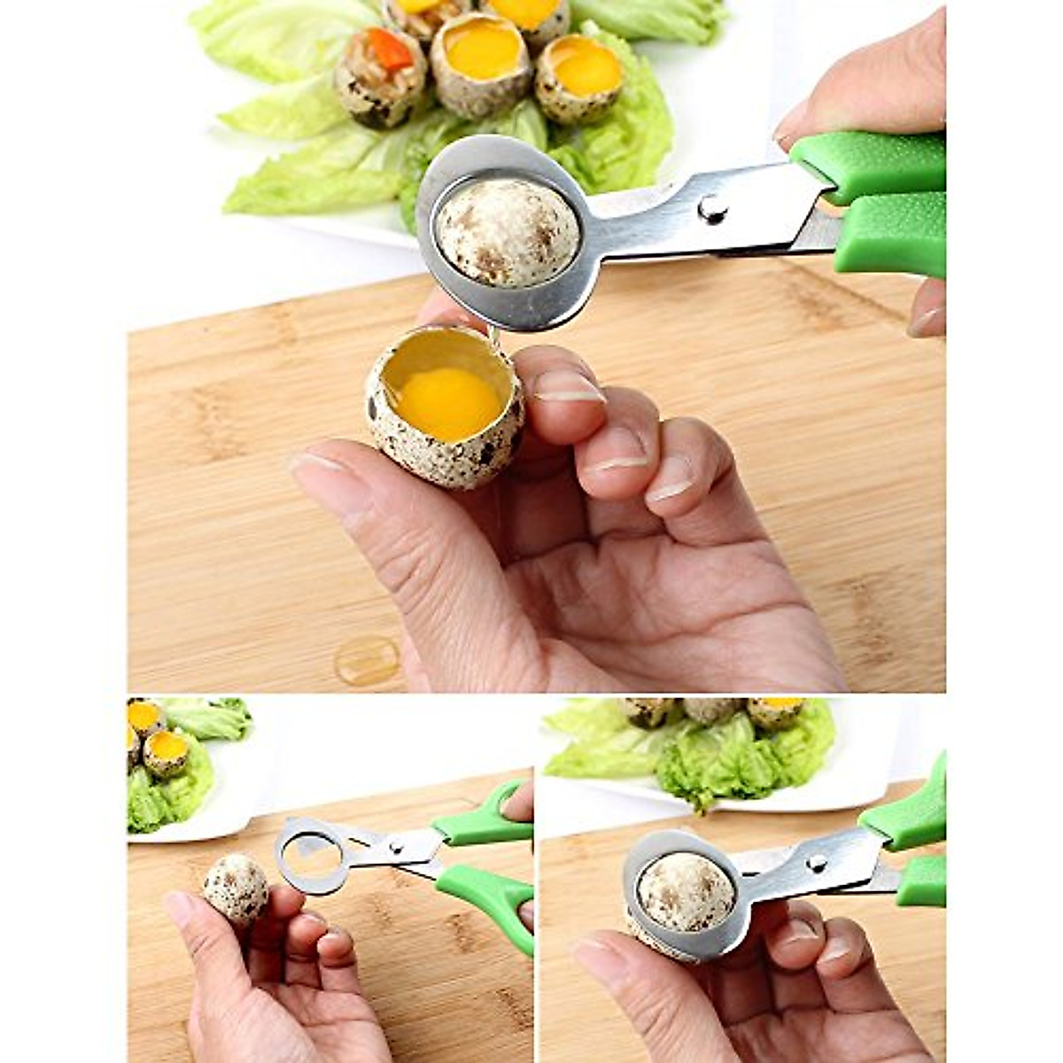 Adecco LLC Pigeon Quail Egg Cutter Scissors Stainless Steel Blades Bird Cutter 2 Pack (Quail Egg Scissor)